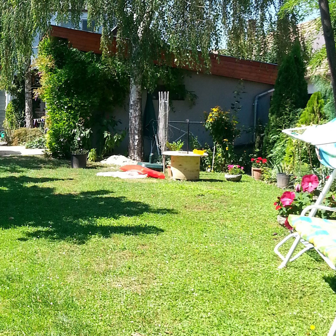 Zenfa - Főoldal - Zen Fa